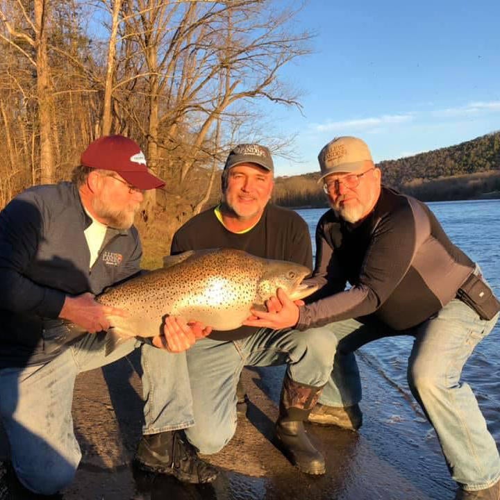 Angler Catches Missouri State Record Brown Trout - Wired2Fish.com