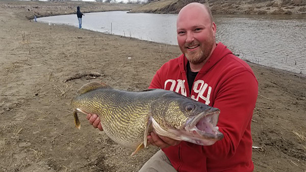 North Dakota Walleye Record Stripped Amid Controversy - Wired2Fish.com