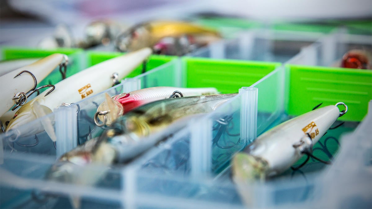 Lure Lock LL1T Large Thin 4 Cavity Review - Wired2Fish.com