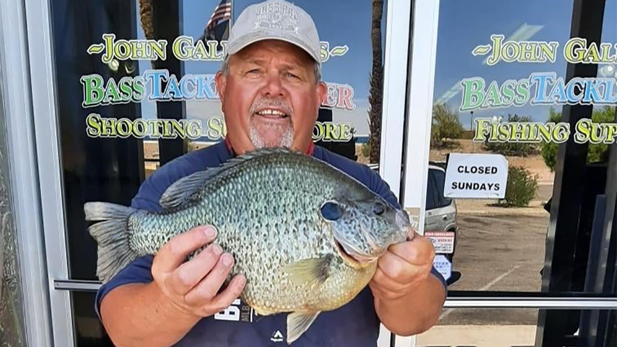 Minnesota world record sunfish