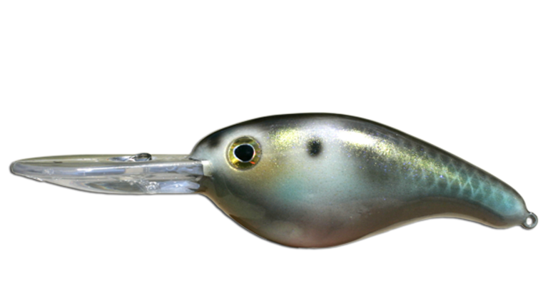 Q&A with Popular Custom Lure Painter - Wired2Fish.com