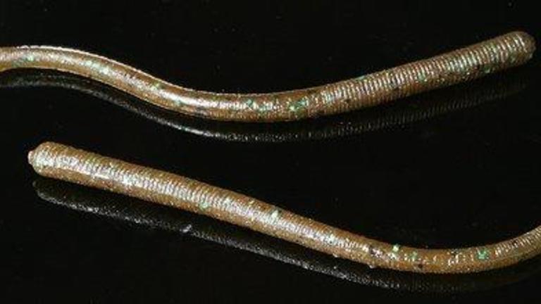 How Zoom Got Named and the Original Zoom Worm - Wired2Fish.com