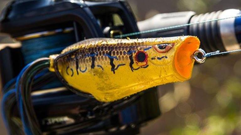 5 Must-Have Bank Fishing Baits - Wired2Fish.com
