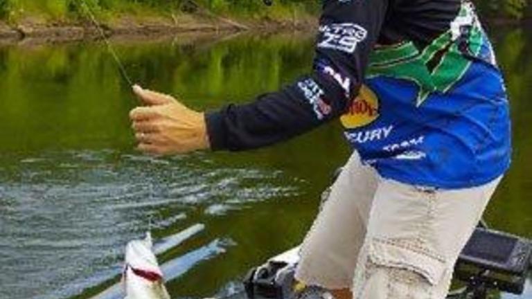 How to Be a Shallow Bass Fishing Angler - Wired2Fish.com