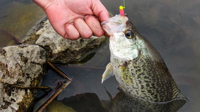 How to Fish Riprap for Crappie - Wired2Fish.com