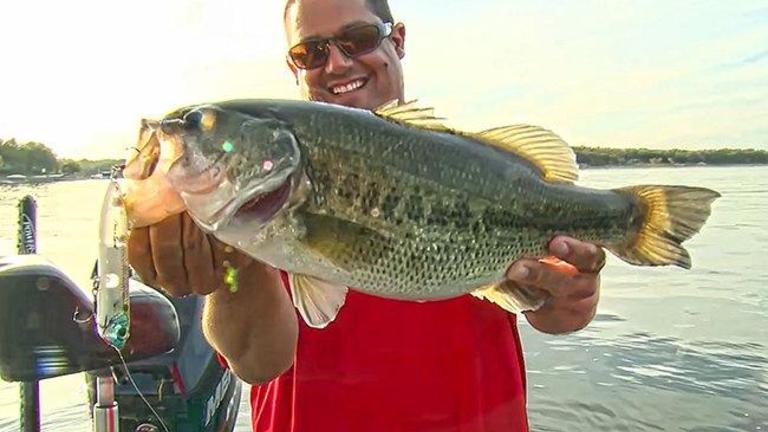 How to Catch Big Fall Bass on Topwaters - Wired2Fish.com