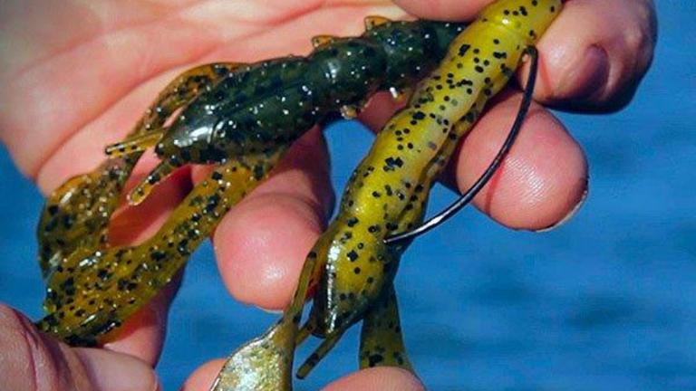 Choosing Crawfish Colors for Bass - Wired2Fish.com