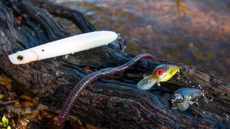 How Fishing Lures Become Regional Staples - Wired2Fish.com