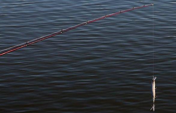 Learn How to Cast a Fishing Lure - Wired2Fish.com