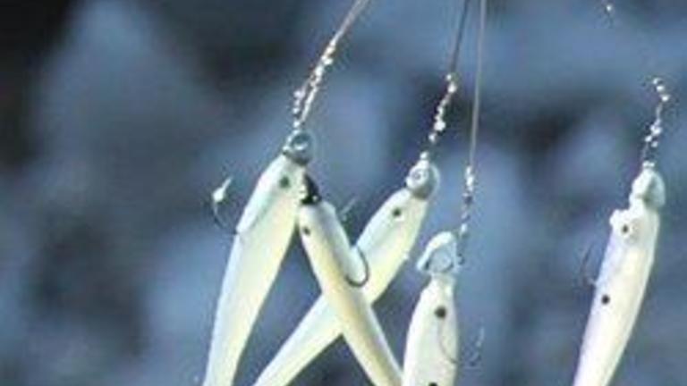 The Alabama Rig Comes into the Limelight - Wired2Fish.com