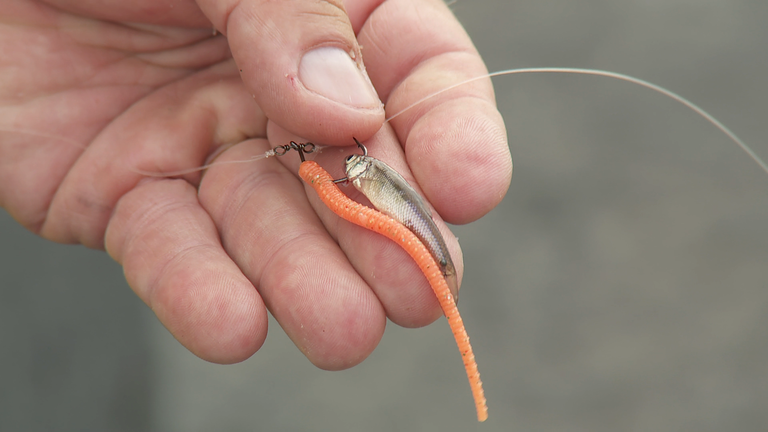 How to Drop Shot Deep Crappie and Bluegill - Wired2Fish.com