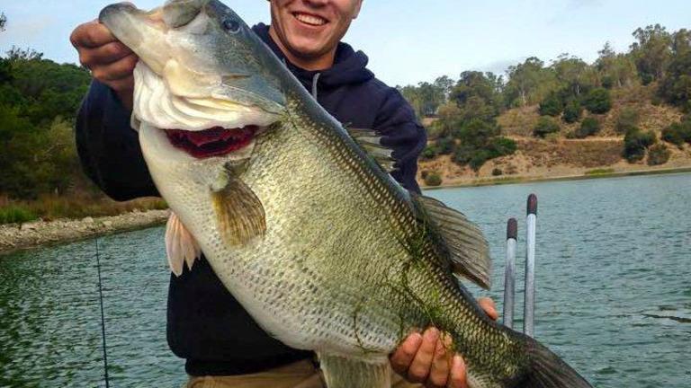 Angler Catches Giant 16-Pound Bass - Wired2Fish.com