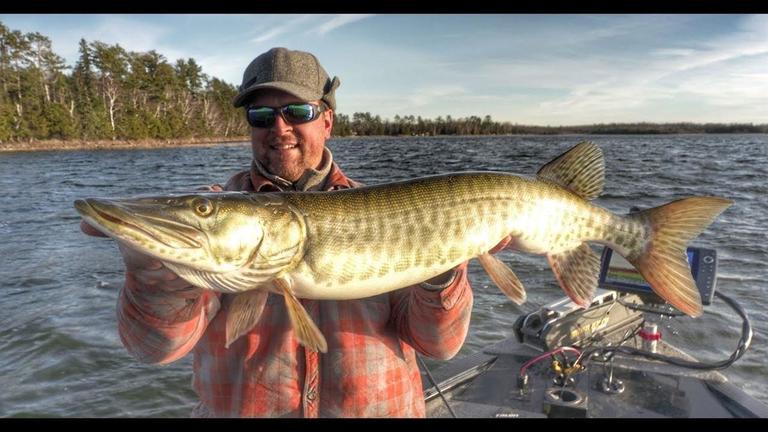 Targeting Fall Musky With Saltwater Crankbaits - Wired2Fish.com
