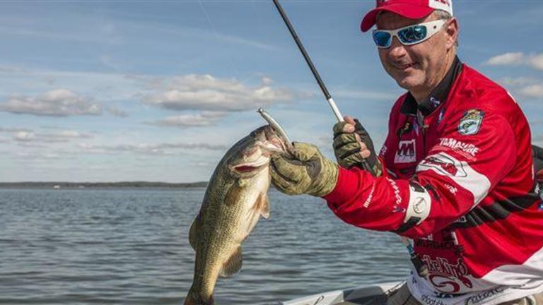 5 Things to Know about Small Swimbaits - Wired2Fish.com