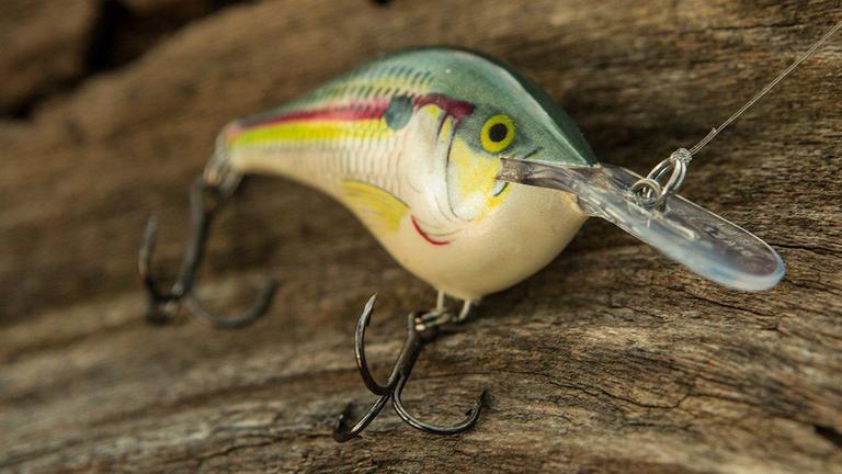 Rapala DT 6 Crankbait Review - Wired2Fish.com