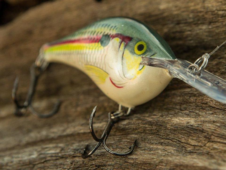 Rapala DT 6 Crankbait Review - Wired2Fish.com