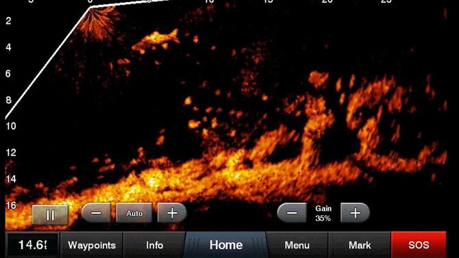 Garmin Releases Panoptix LiveScope - Wired2Fish.com
