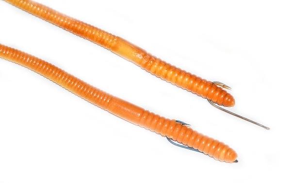 Rigging Live Earthworms for Bigger Panfish - Wired2Fish.com