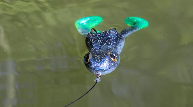 Stanley Top Toad Fishing Tackle Review - Wired2Fish.com