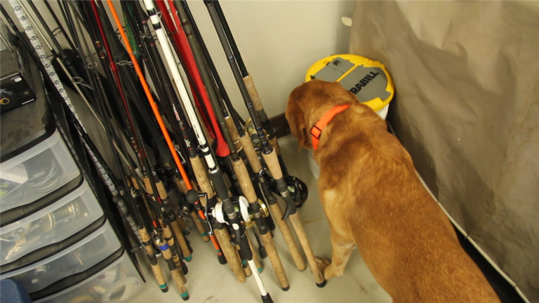 How to Efficiently Store, Organize and Protect Your Fishing Rods ...