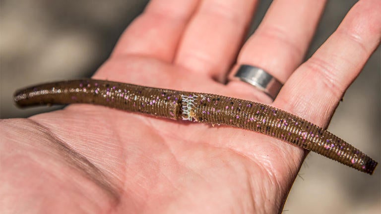 Savage Gear Armor Tube Worm Review - Wired2Fish.com
