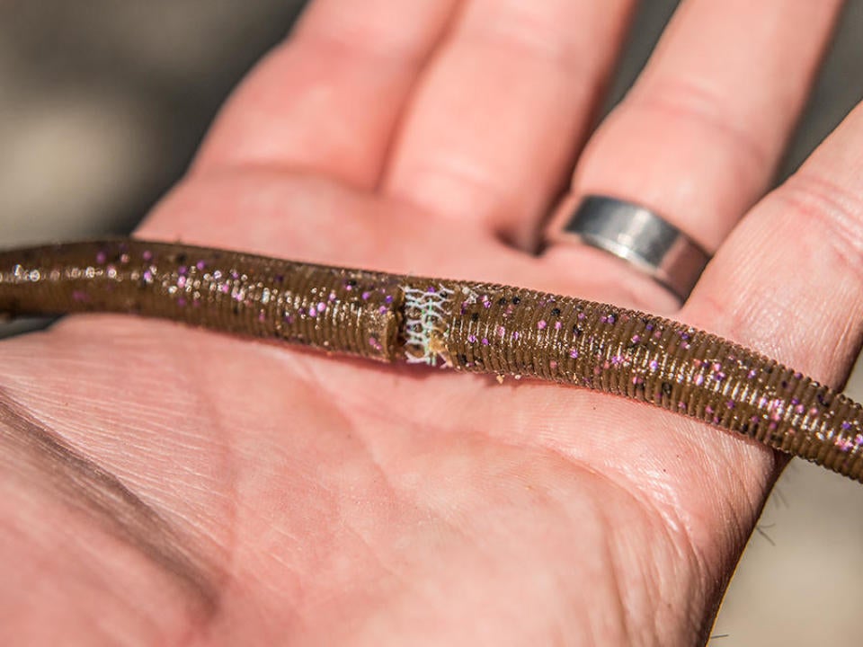 Savage Gear Armor Tube Worm Review - Wired2Fish.com