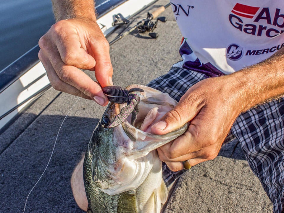 An Overlooked Shallow-Water Strategy for Summer Bass - Wired2Fish.com