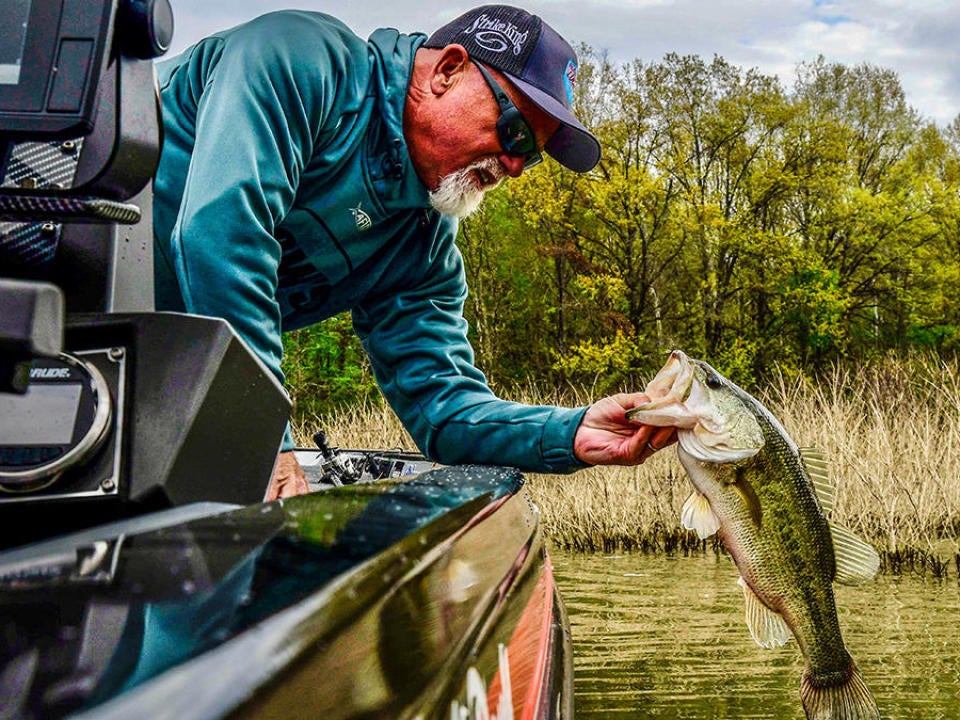 Focus on Isolated Cover to Catch Big Bass - Wired2Fish.com