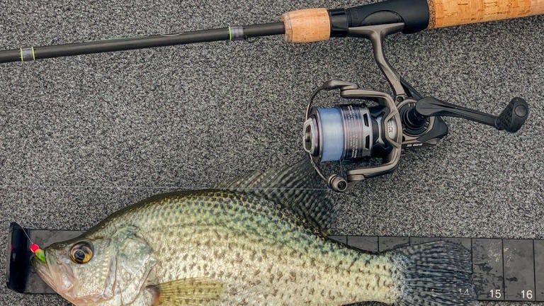 Improve Fall Crappie Fishing with Subtle Color Changes - Wired2Fish.com