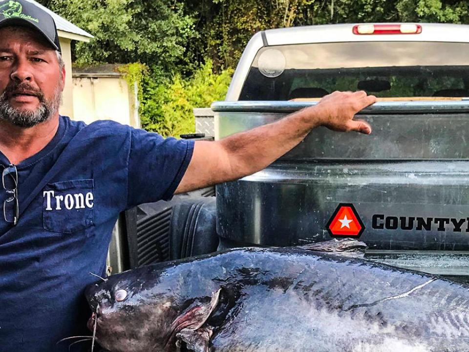 Alabama State Record Catfish