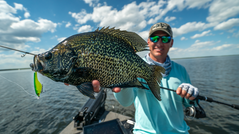 Spybait Crappies | New Lure Trends That Work! - Wired2Fish.com