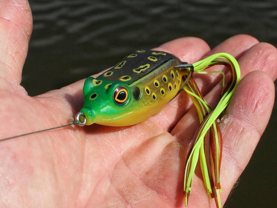 Z-Man Leap FrogZ Walking Frog Review - Wired2Fish.com