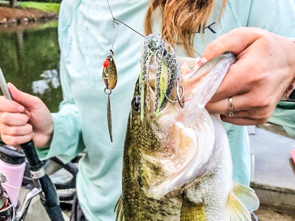 5 Must-Have Beginner Baits for Bass Fishing - Wired2Fish.com